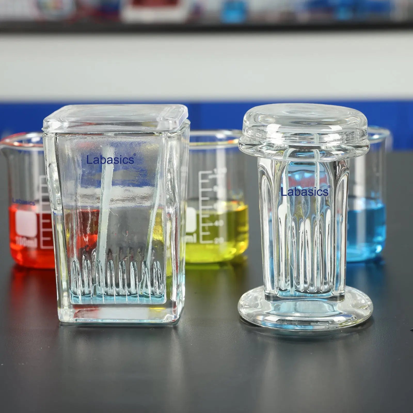 Labasics TLC Tank High-Quality Chromatography Chamber for Lab ...