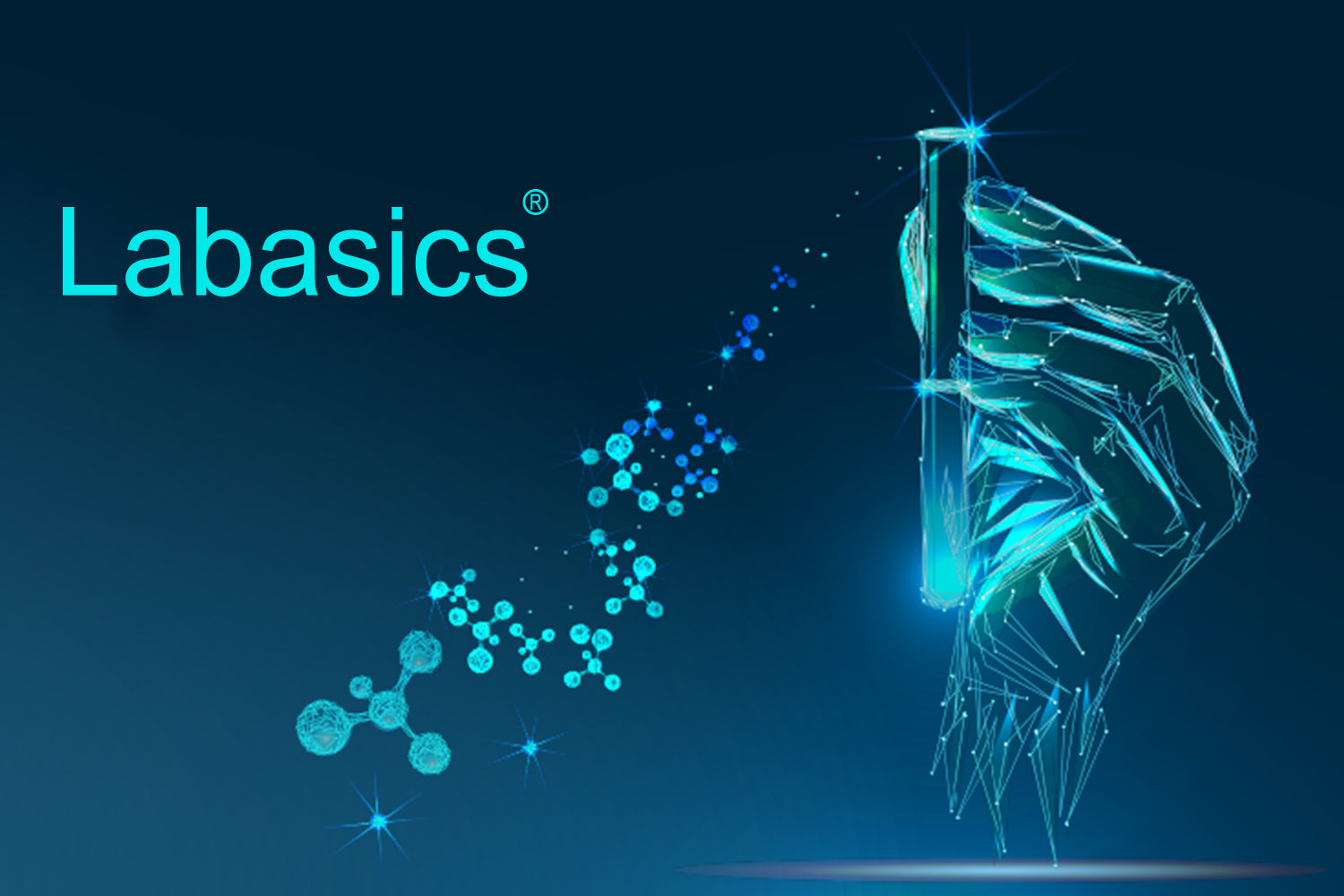 Labasics Shop – Labasics shop